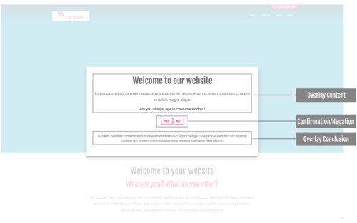 Website Overlay