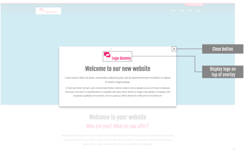 Website Overlay